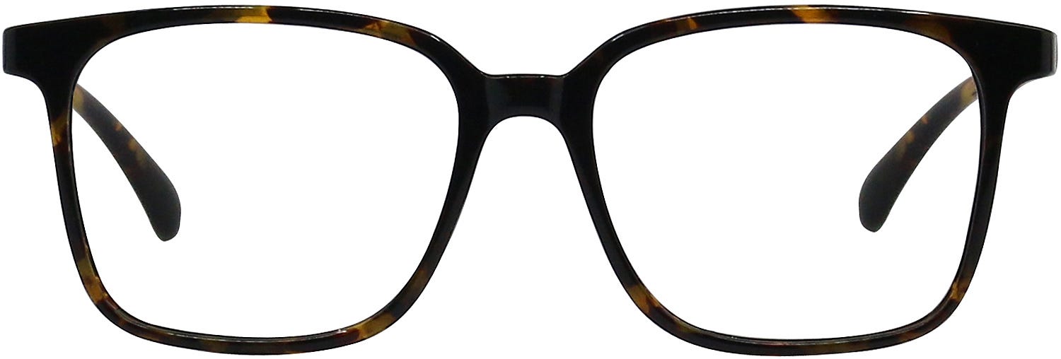 Rectangle Eyeglasses 170700