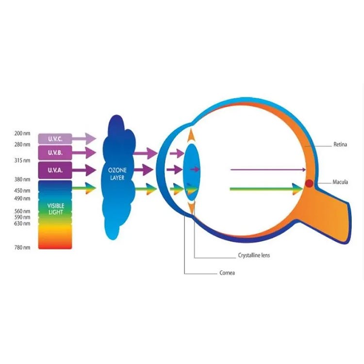 Visible Light Rays Damage Your Eye Ultraviolet Waves NASA Science